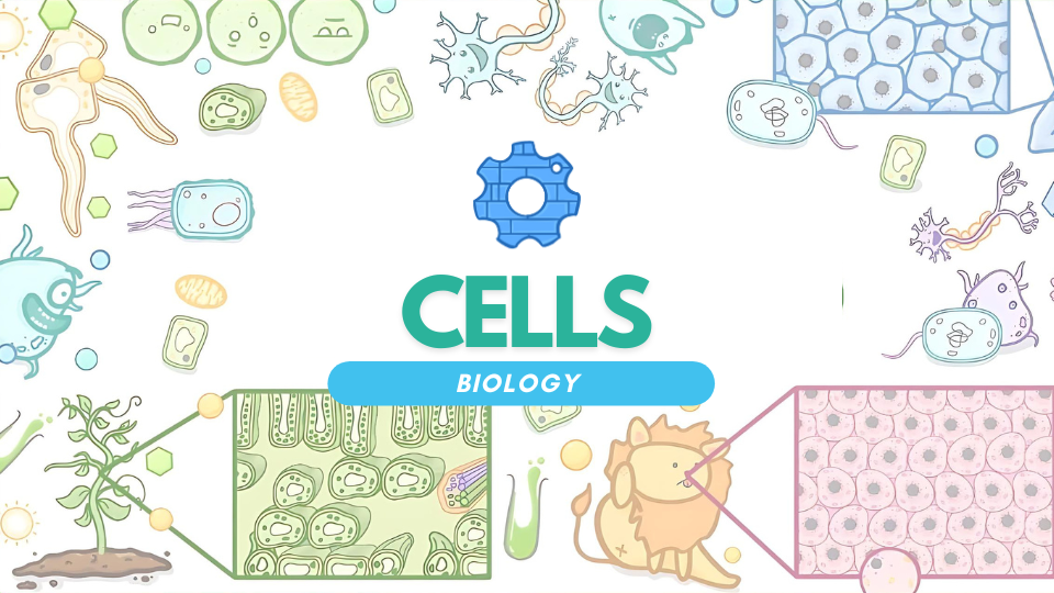 Cells - Biology - Lessonflix