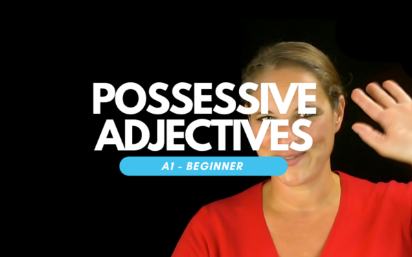 A1 Beginner - Lessonflix