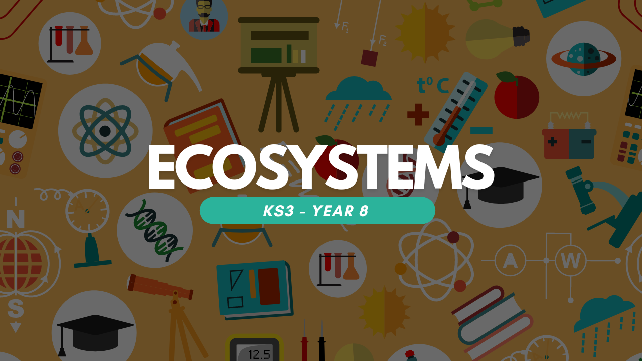Ecosystems (Year 8) - Lessonflix