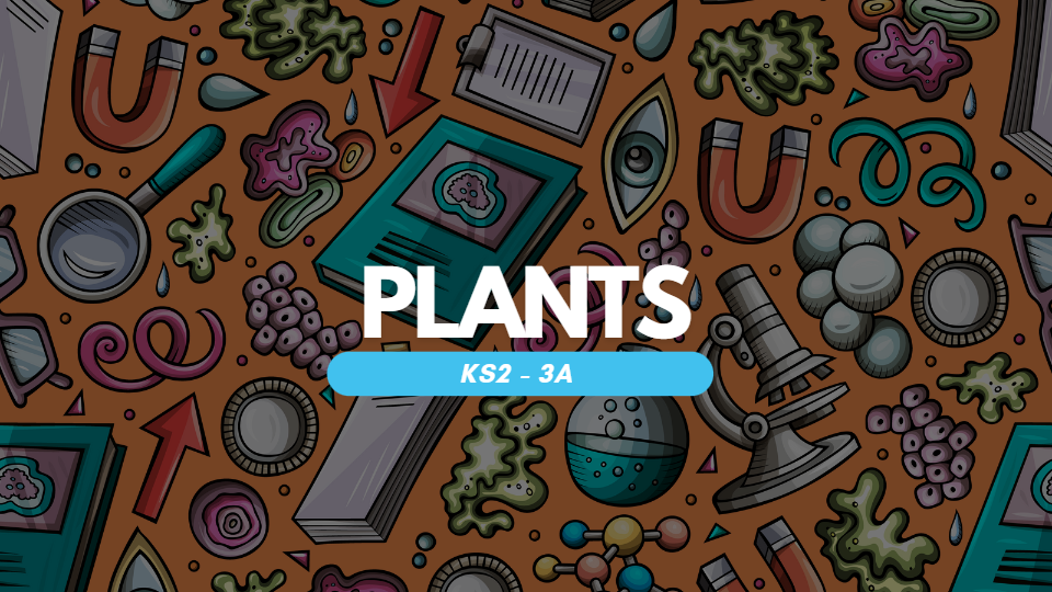 Plants 3A - Lessonflix