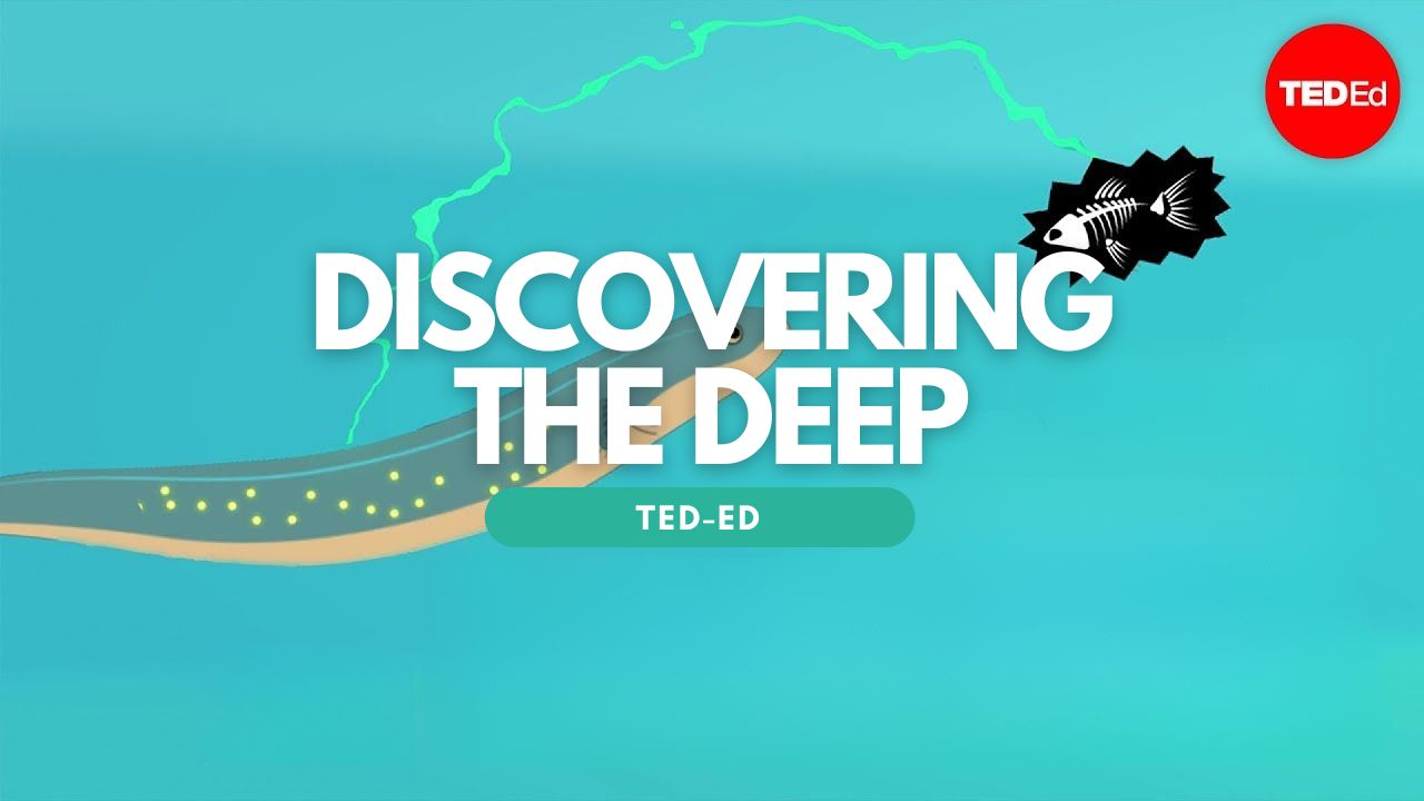 Discovering The Deep - Lessonflix