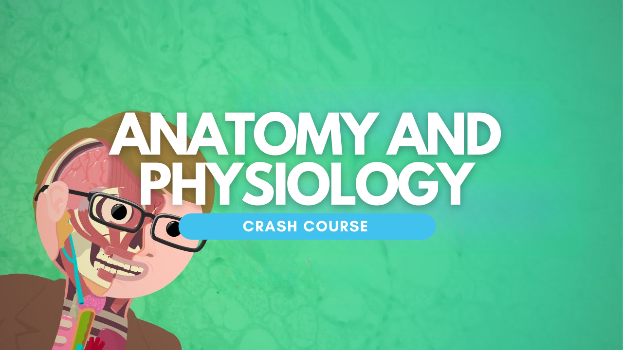Anatomy and Physiology - Lessonflix