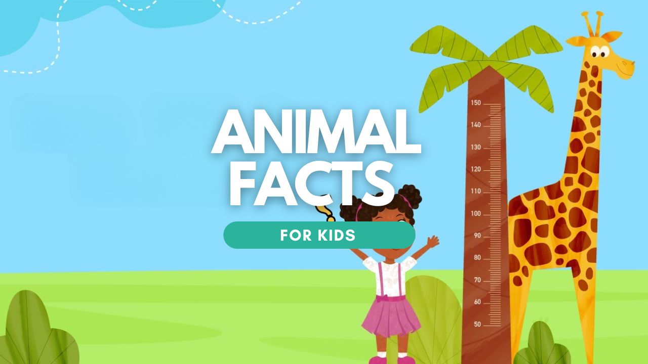 Animal Facts for Kids - Lessonflix